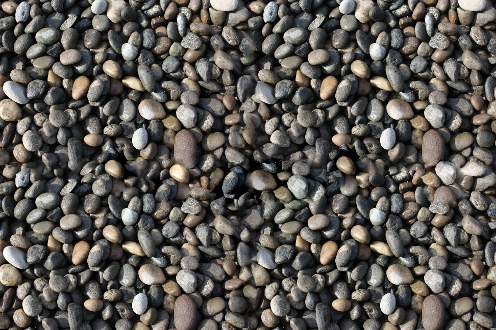River Rock 1″-3″ - Meadows Landscape Supply Ltd.