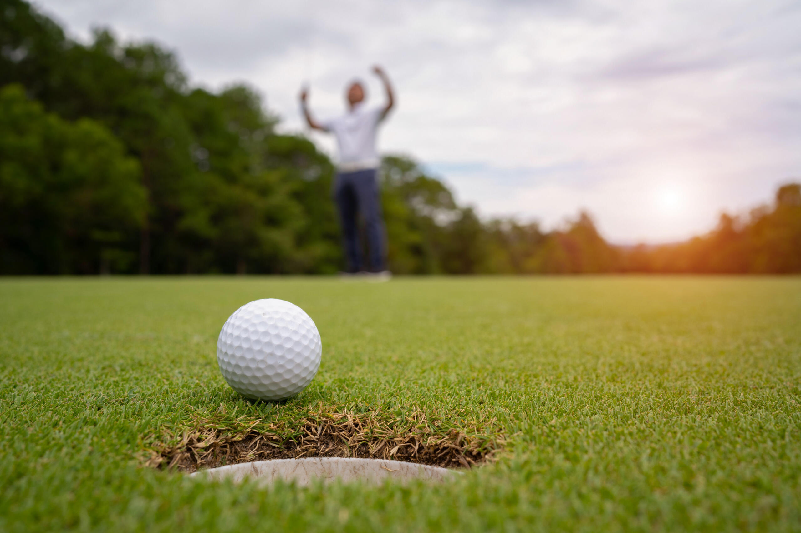 50/100 Silica Sand for Putting Greens (50lb Bag) - Meadows Landscape ...